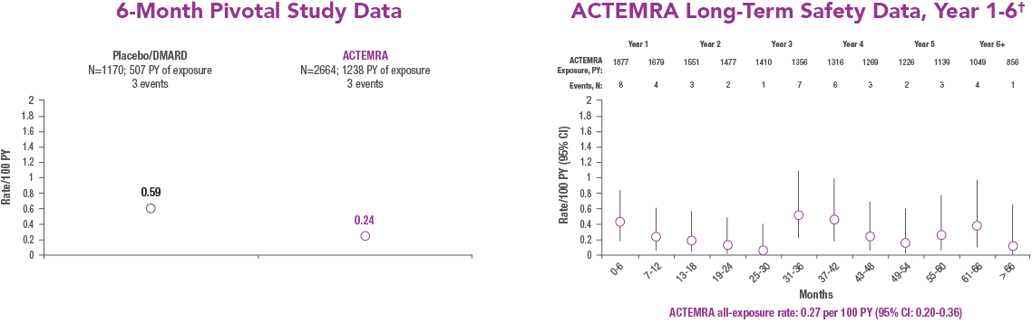 Rheumatoid Arthritis (RA) Clinical Trial Safety Side Effects | ACTEMRA ...